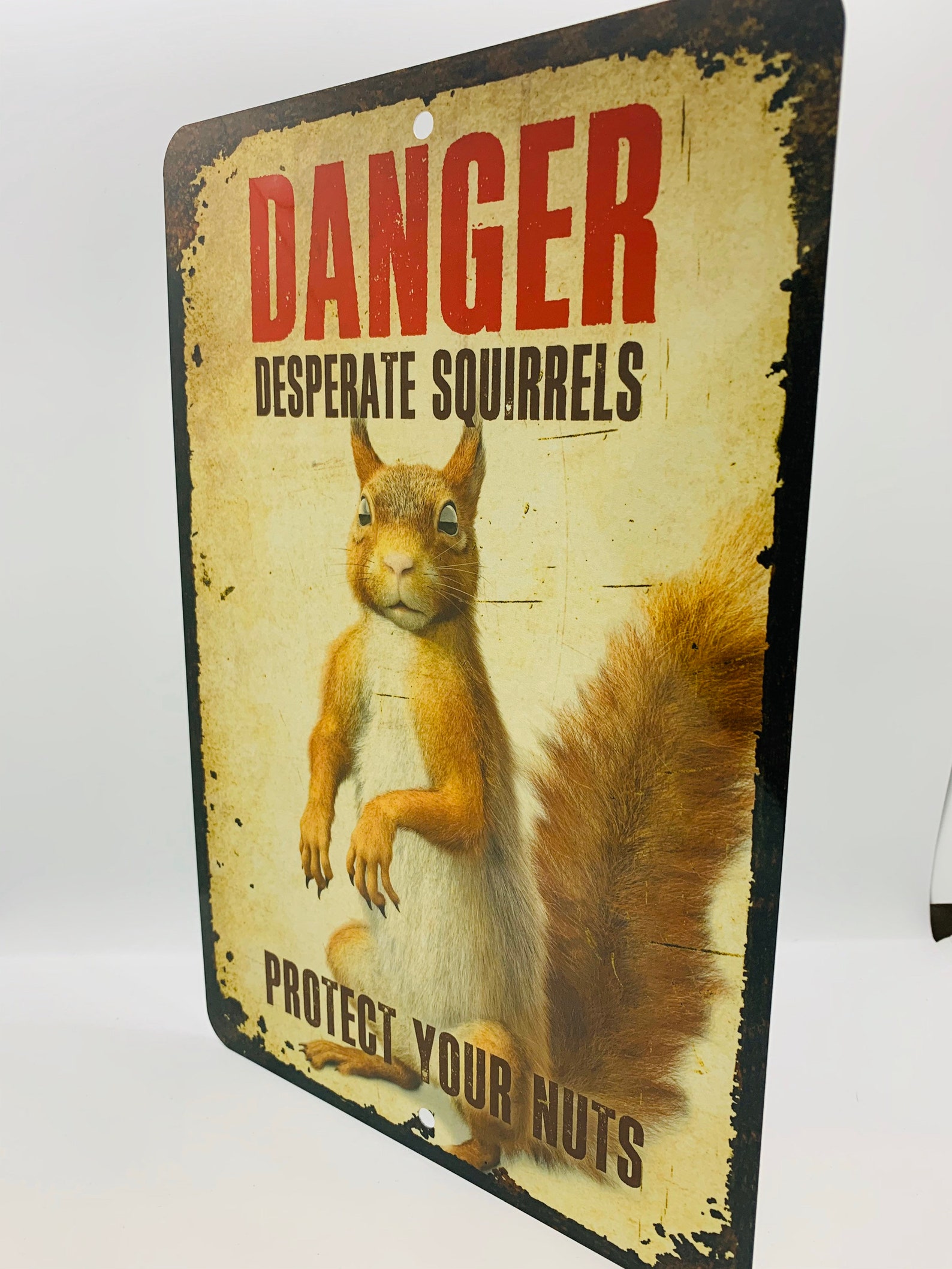 Squirrel Sign Danger Desperate Squirrels Protect Your Nuts - Etsy
