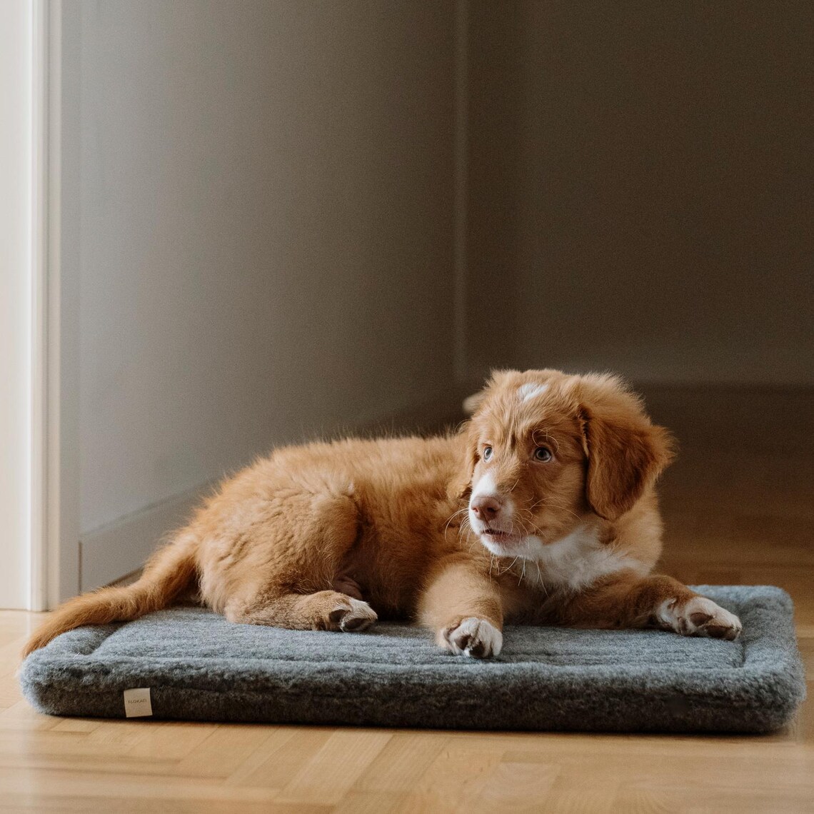 Merino Wool Pet Bed - Etsy