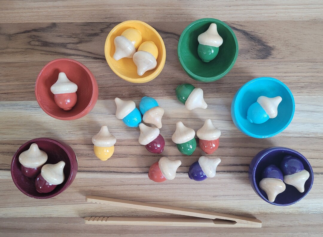 Acorn Sorting Set, Montessori Toy Rainbow Colors, Learning Toy for Kids ...