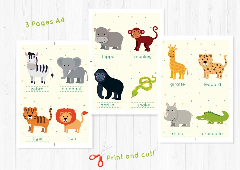 Flash Cards Jungle Animals Names English Spanish Italian / | Etsy