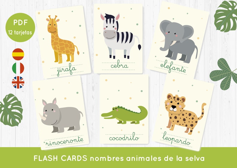 Flash Cards Jungle Animals Names English Spanish Italian / | Etsy
