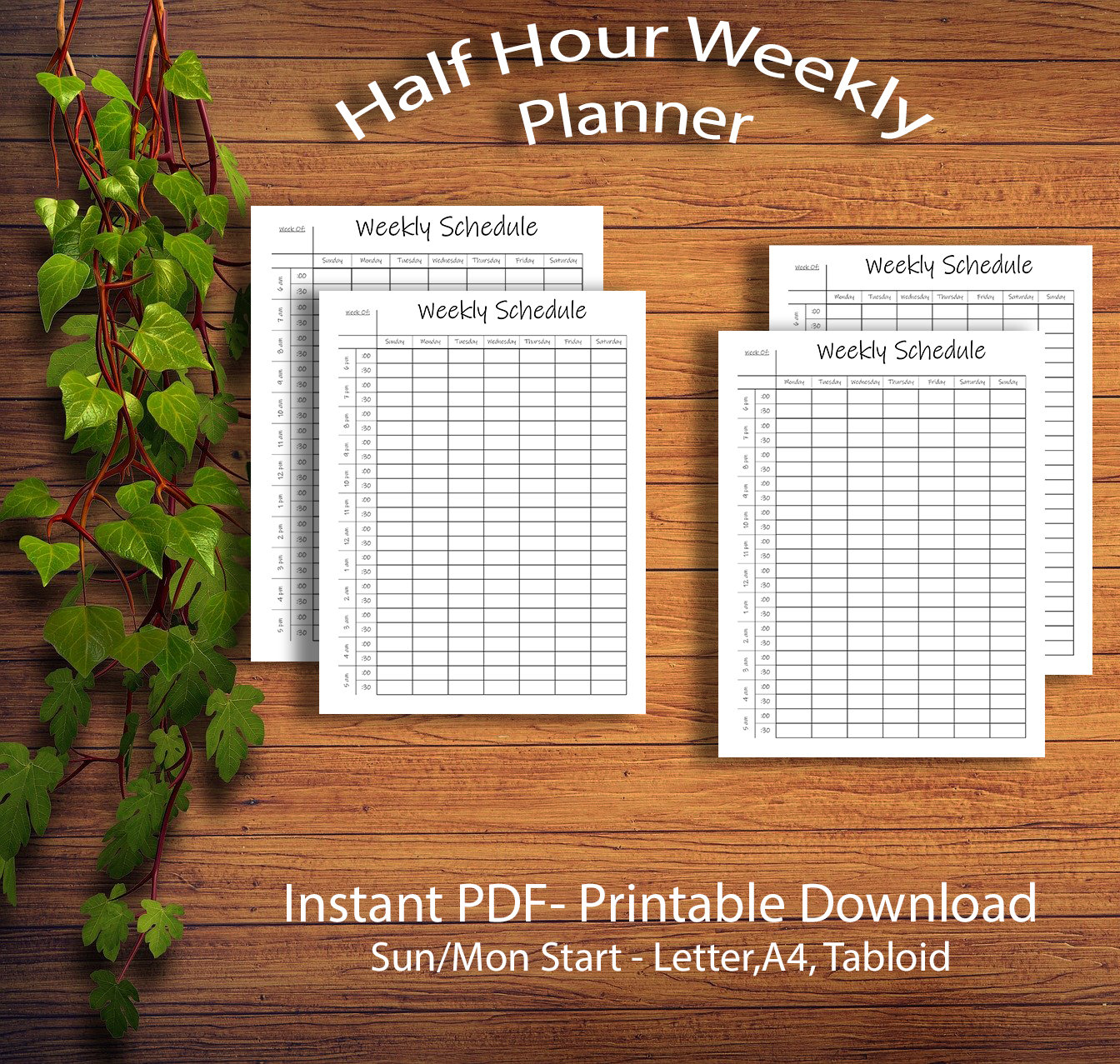 Half Hour Weekly Schedule Printable: Letter, A4, Tabloid (digital ...