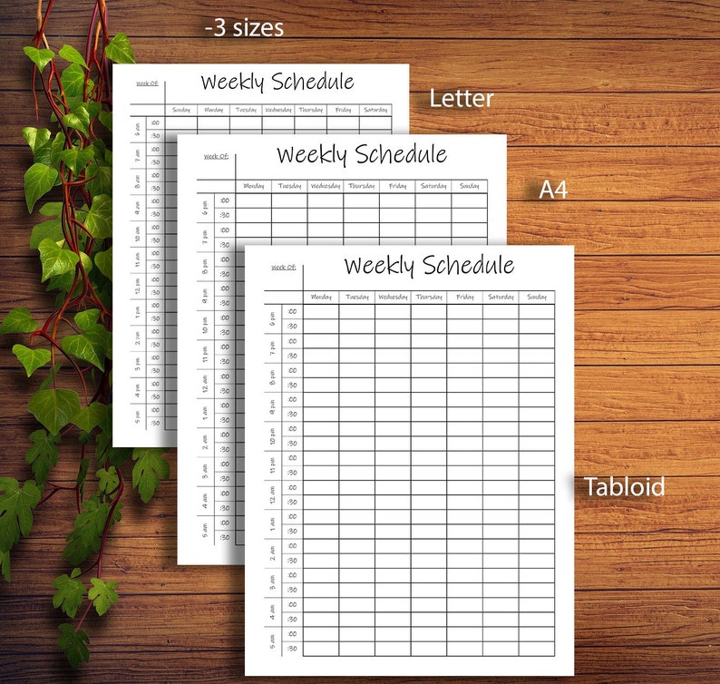 Printable Half Hour Weekly Schedule on Two Pages , Half Hour Daily ...
