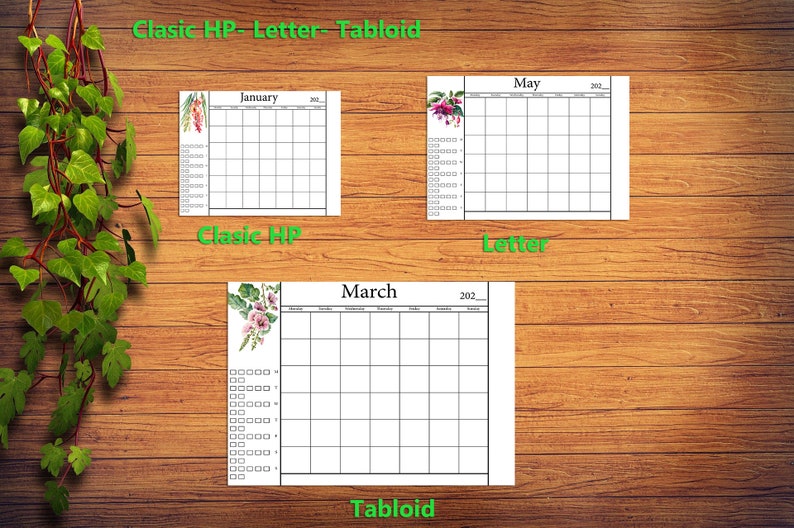Undated Printable Calendar - Letter, Classic HP, Tabloid - Sunday and ...