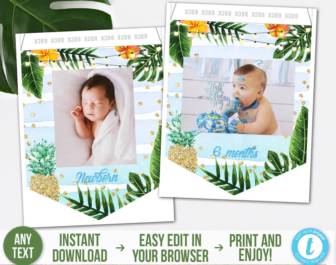 Tropical Monthly Photo Banner Boy Hawaiian First Birthday - Etsy