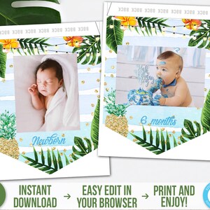 Tropical Monthly Photo Banner Boy Hawaiian First Birthday Banner ...