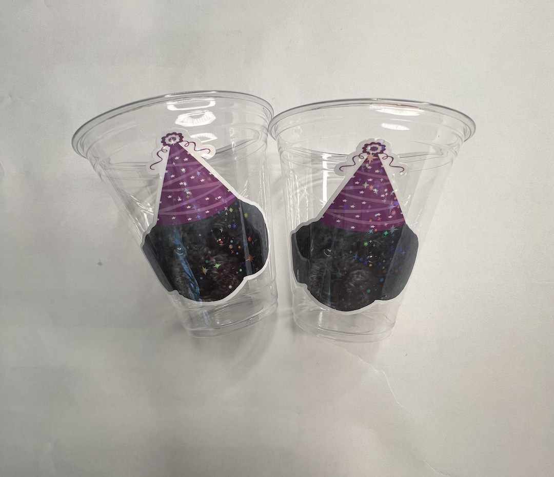 Holographic Custom Face Cup, Custom Plastic Cups, Personalized Party ...