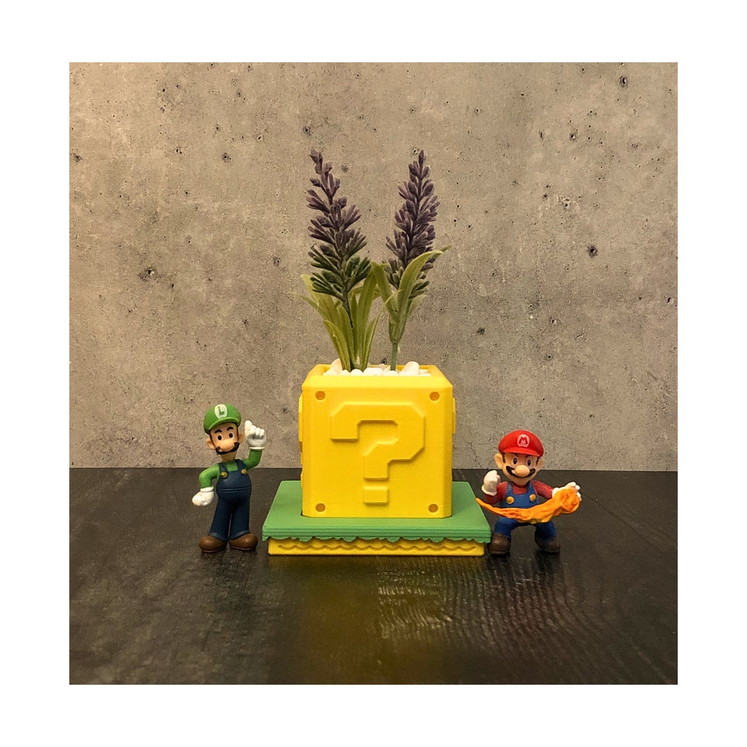 Super Mario Planter Question Mark Succulent Planter - Etsy