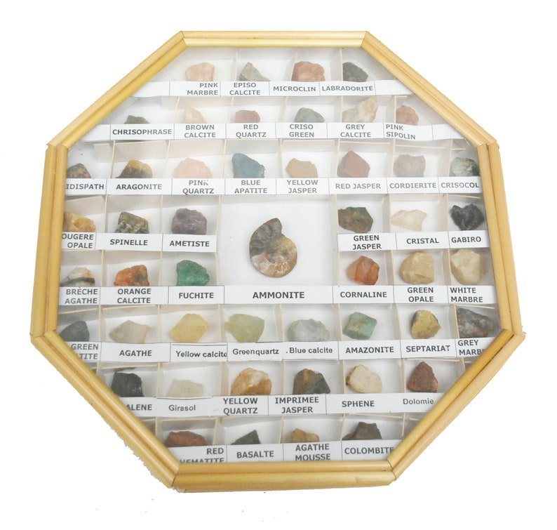 Gemstone Collection Box vintage mineral specimen sample gift | Etsy