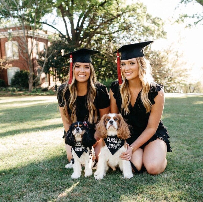 Class of 2026 GRADUATION Over the Collar Dog Bandana, Graduation ...