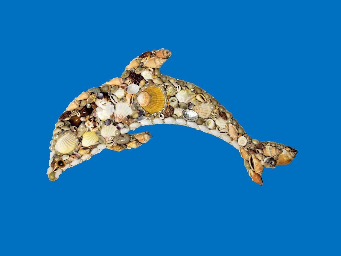 Seashell Dolphin Wall Decor - Etsy