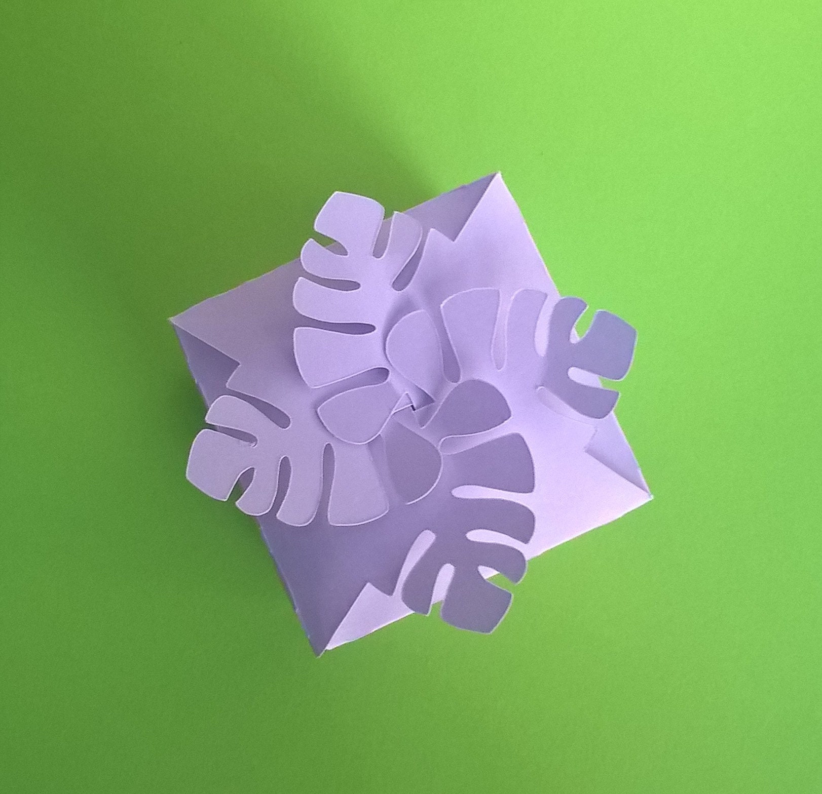 SAFARI BOX. SVG Templates. Baby Shower. Favor Box. Die Cut - Etsy