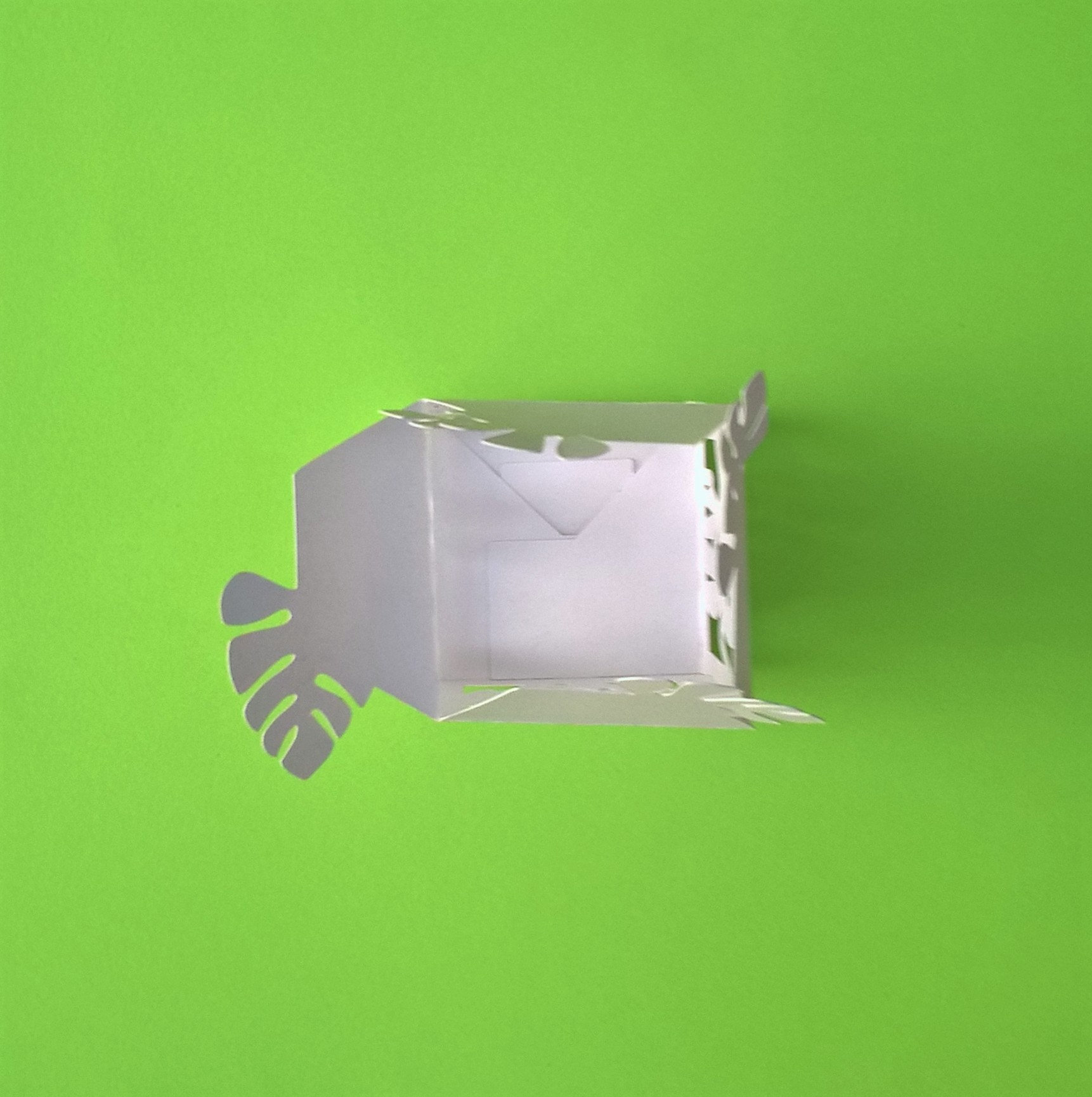 SAFARI BOX. SVG Templates. Baby Shower. Favor Box. Die Cut | Etsy UK