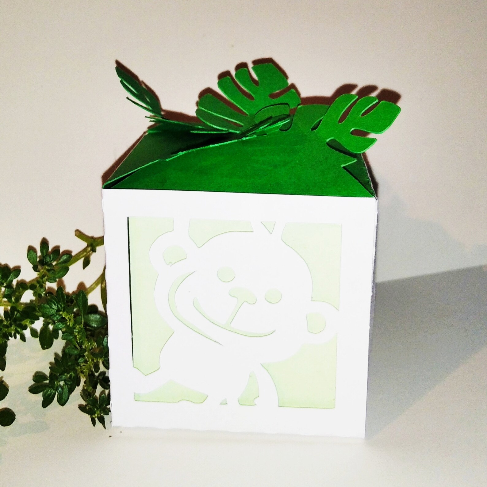 SAFARI BOX. SVG Templates. Baby Shower. Favor Box. Die Cut - Etsy