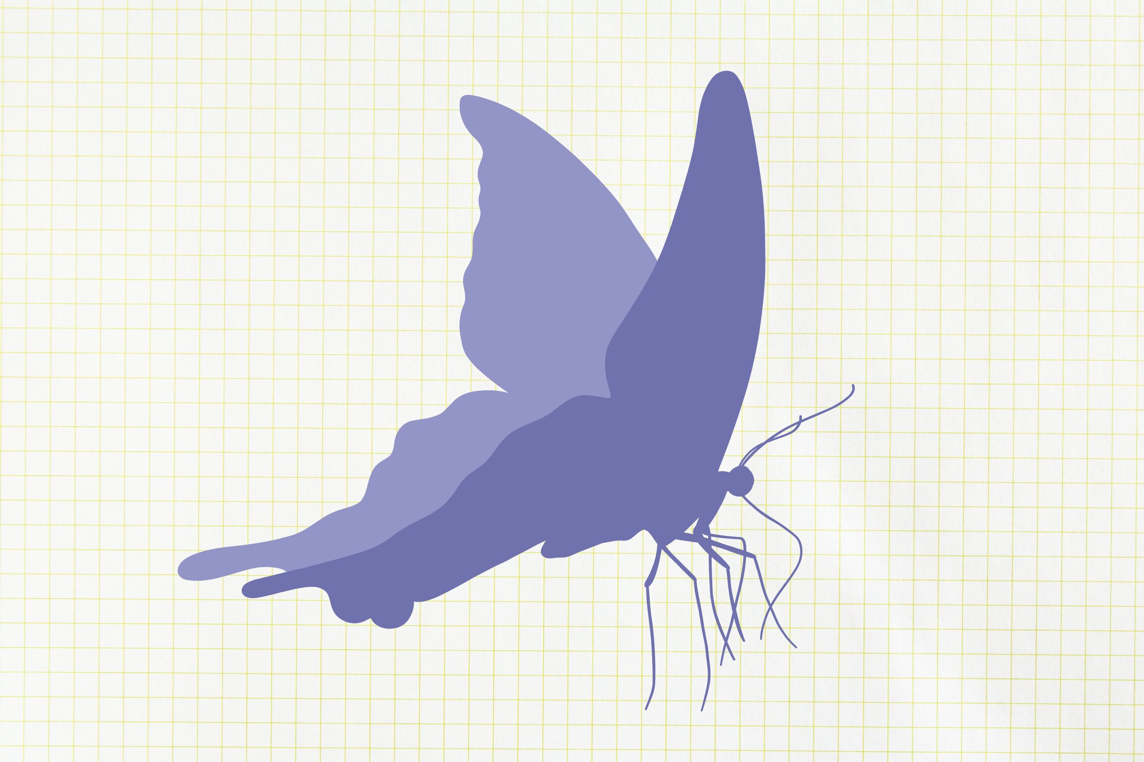 Butterfly Side View File Set SVG EPS PNG and dxf Cricut | Etsy