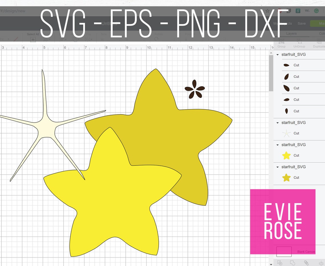 Starfruit Layered Cut File Set Citrus SVG DXF PNG and Eps - Etsy