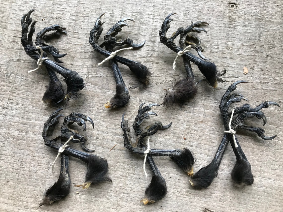 One Pair 2 Crow Feet Foot Talon Claws Taxidermy Fetish - Etsy