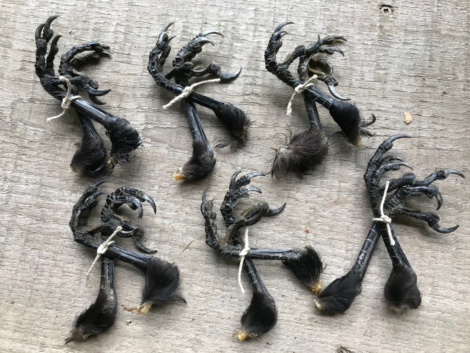 One Pair 2 Crow Feet Foot Talon Claws Taxidermy Fetish - Etsy