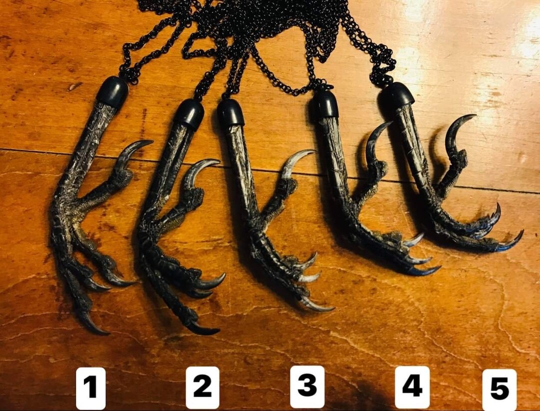 Crow Claw Feet Foot Taxidermy Familiar Pendant Amulet Necklace Fetish ...