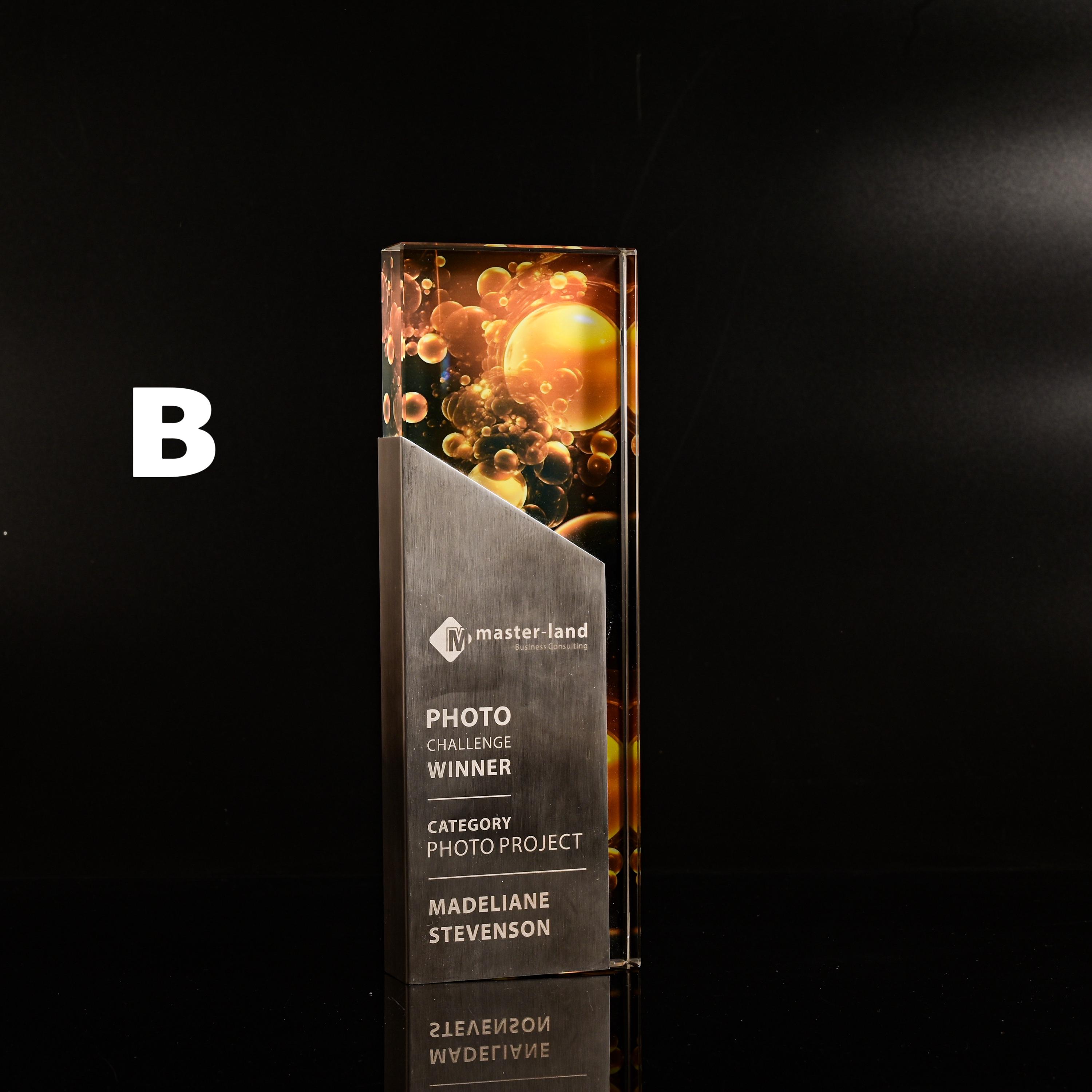 Personalized Trophy Award, Engraved Stainless Steel Trophy, Corporate ...