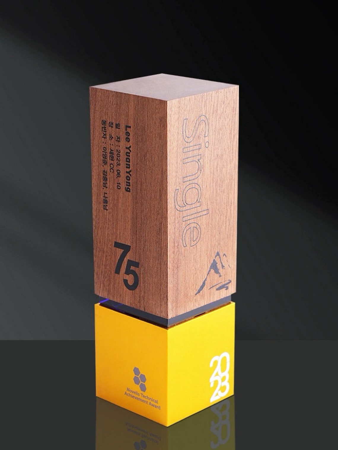 Personalized Trophy Award, Wood and Metal Trophy, Customize Corporate ...