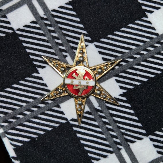 Vintage Order of St. Olav Star Brooch / Pin Costume J… - Gem