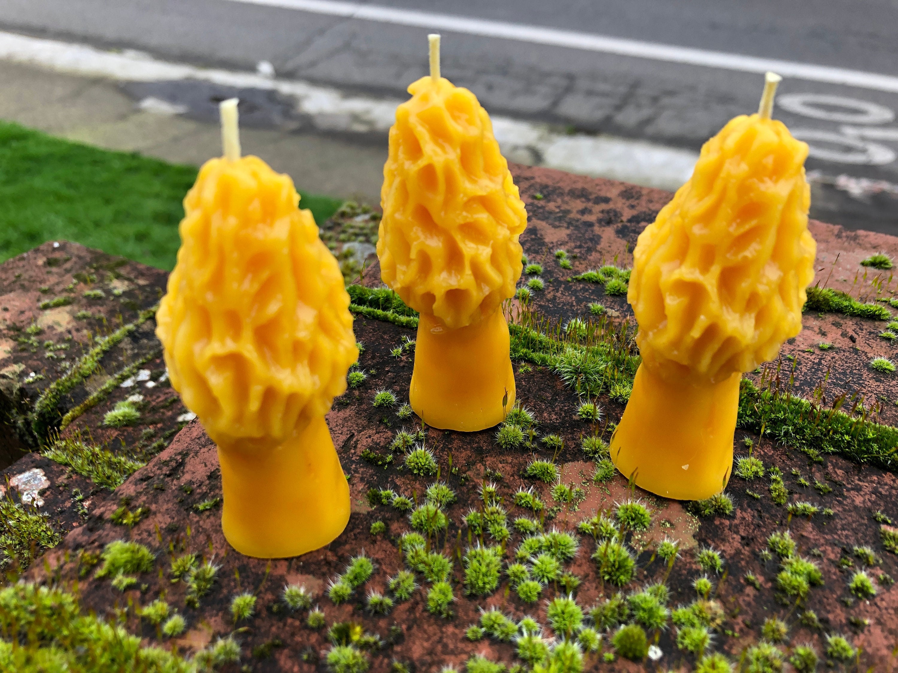Mini Morel Mushroom Candle Set of 3 100% Pure Beeswax | Etsy