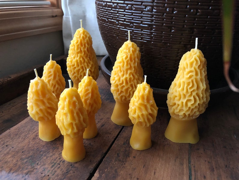 Mini Morel Mushroom Candle Set of 3 100% Pure Beeswax | Etsy