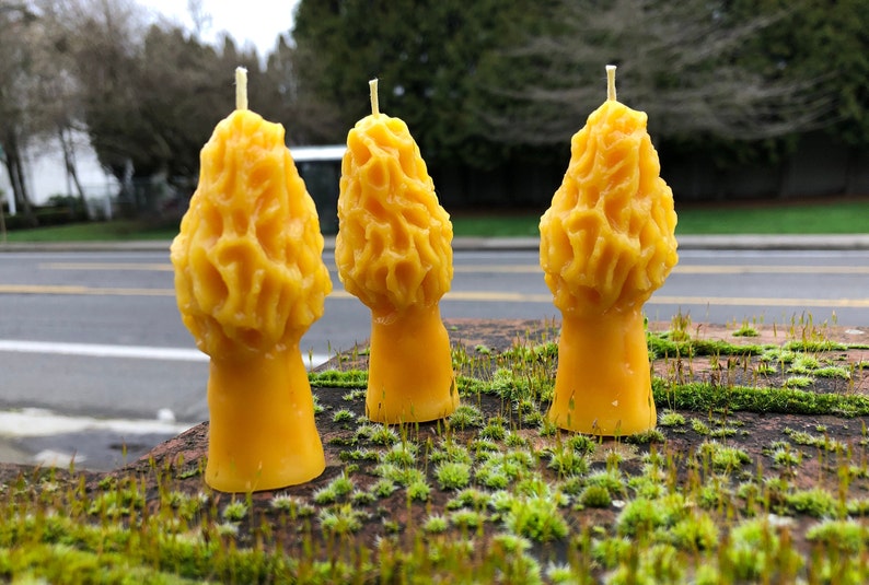 Mini Morel Mushroom Candle Set of 3 100% Pure Beeswax | Etsy