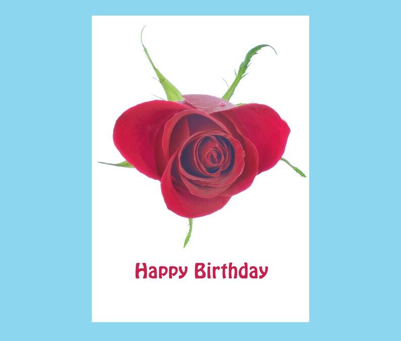 Single Red Rose Birthday Card - Etsy