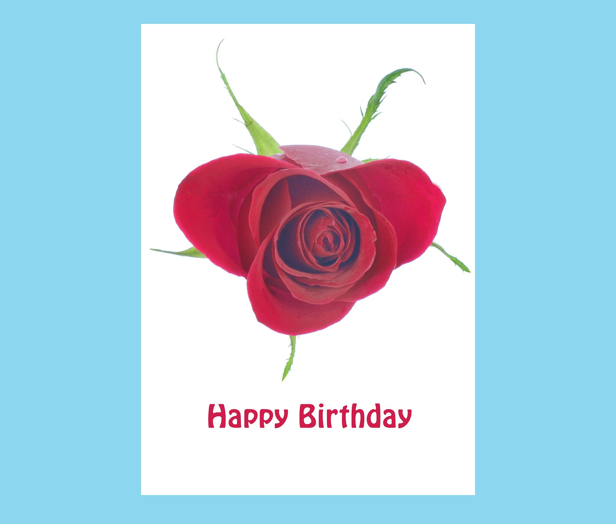 Single Red Rose Birthday Card - Etsy