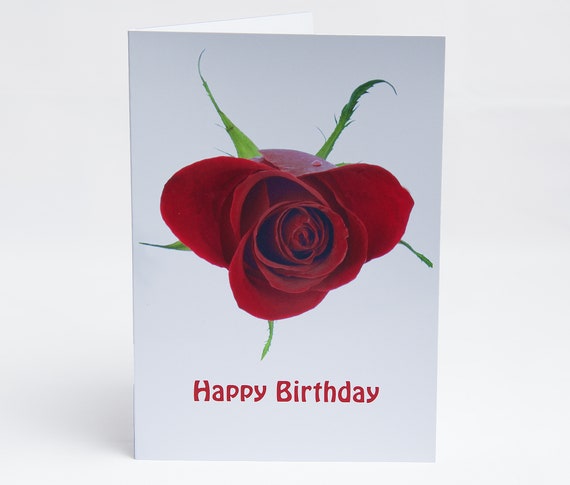 Single Red Rose Birthday Card - Etsy