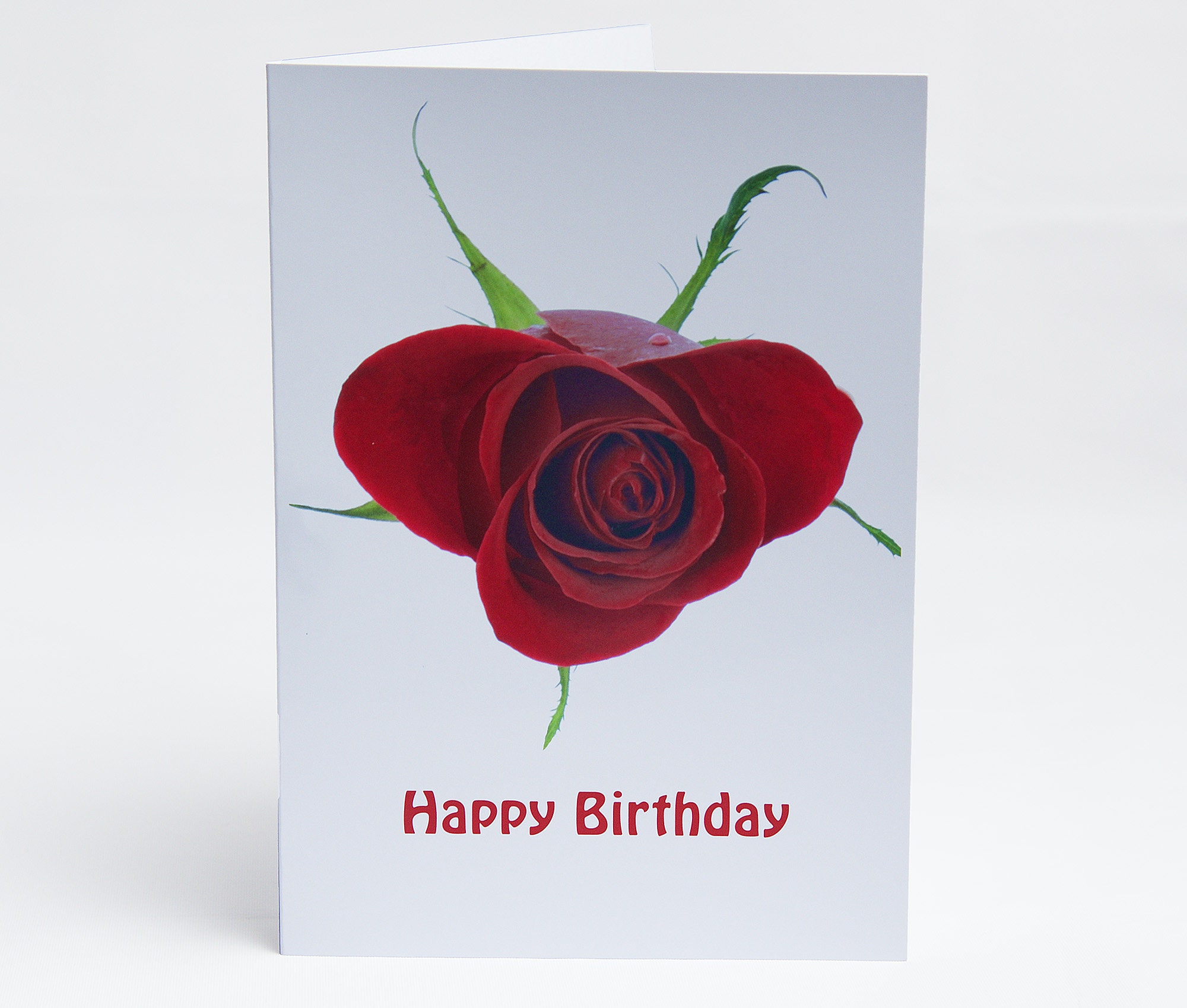 Single Red Rose Birthday Card - Etsy