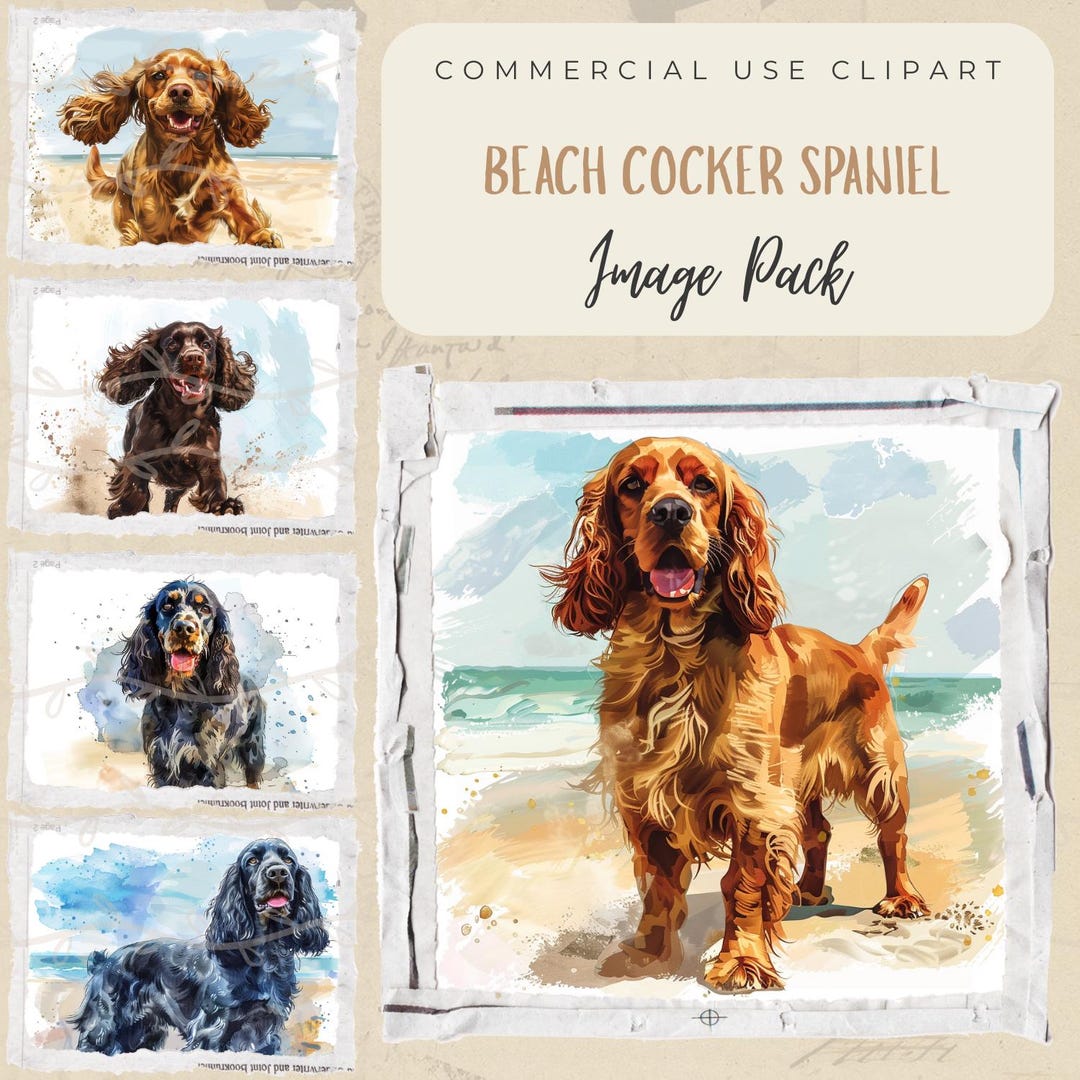 Beach Cocker Spaniel Watercolour Clipart, Dog Clipart, 300 Dpi, Png ...