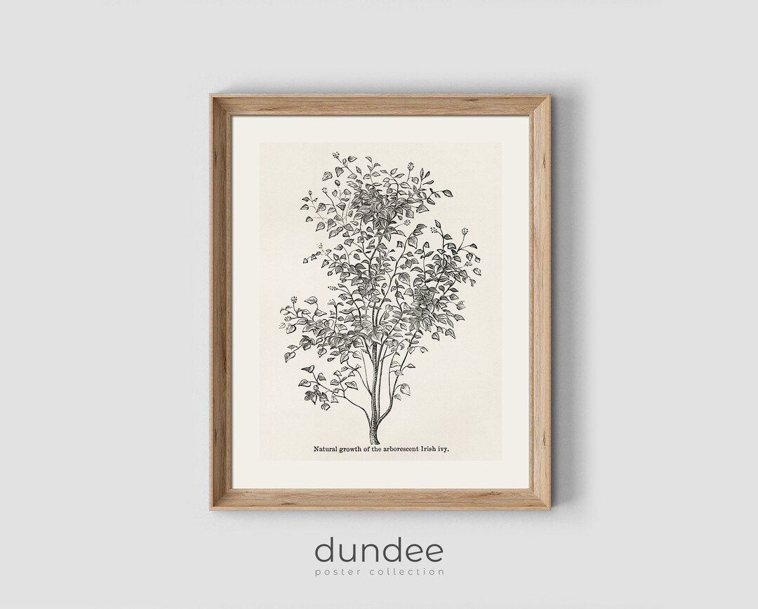 Vintage Tree Sketch . Rustic Tree Drawing . Neutral Botanical Print ...