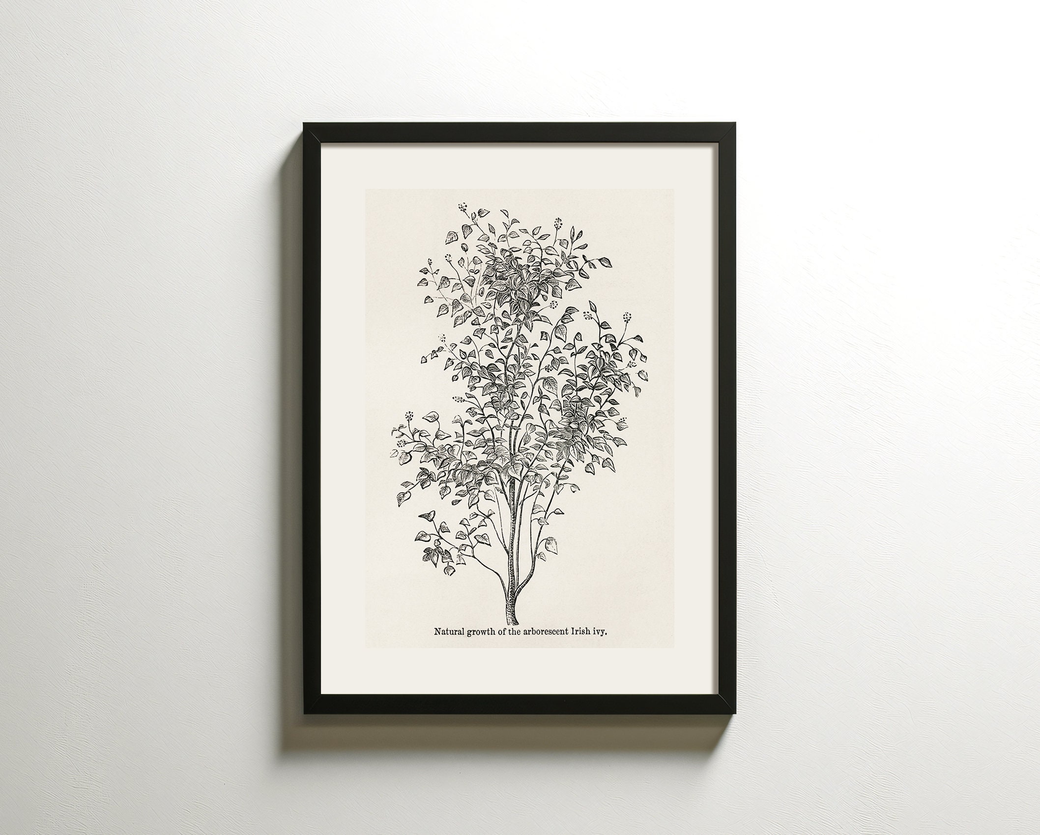 Vintage Tree Sketch . Rustic Tree Drawing . Neutral Botanical Print ...