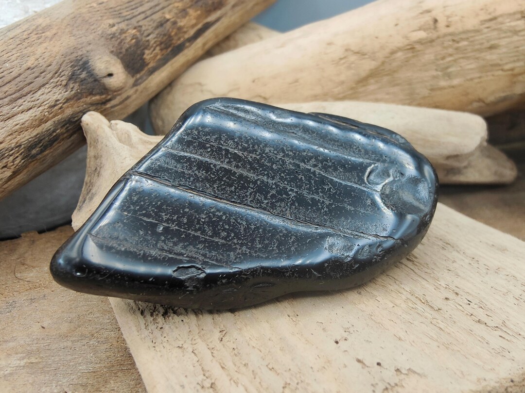 Whitby Jet - Polished Whitby Jet - Rough Whitby Jet - Jet Stone - Jet Palm Stone - Jet Fossil ...