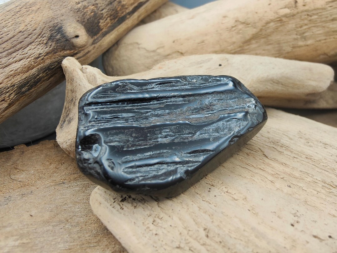 Whitby Jet Natural Whitby Jet Rough Whitby Jet Jet Stone Jet Palm Stone Jet Fossil Collectable ...