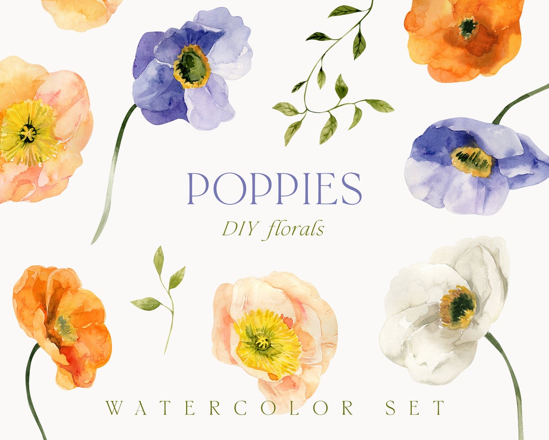 Watercolor Poppies Png Clipart - Bright Poppy Flowers Clipart - Spring ...