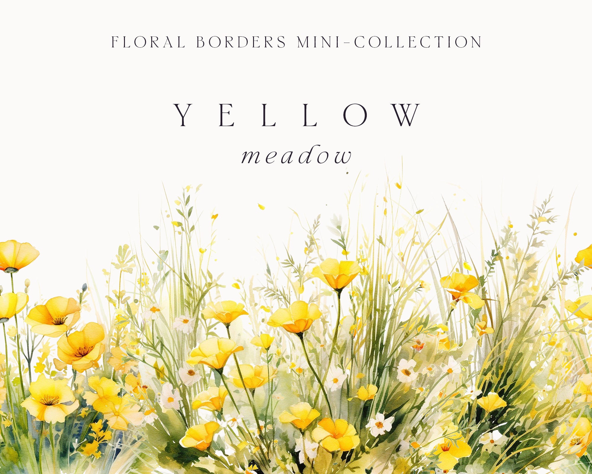 Yellow Flower Borders