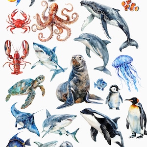 Sealife Animals Clipart - 35 Watercolor Underwater Ocean Animals Set ...