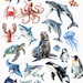 Sealife Animals Clipart - 35 Watercolor Underwater Ocean Animals Set ...