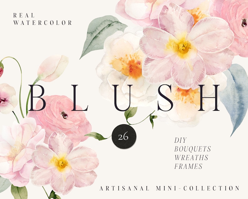 BLUSH Watercolor Flowers Clipart Png Watercolor Floral - Etsy