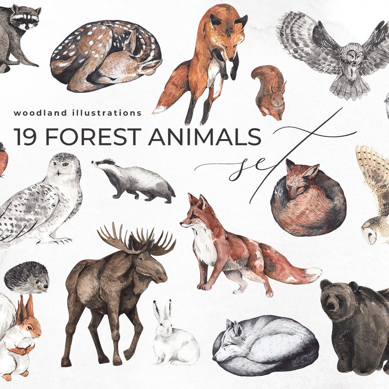 Forest Friends Art - Etsy