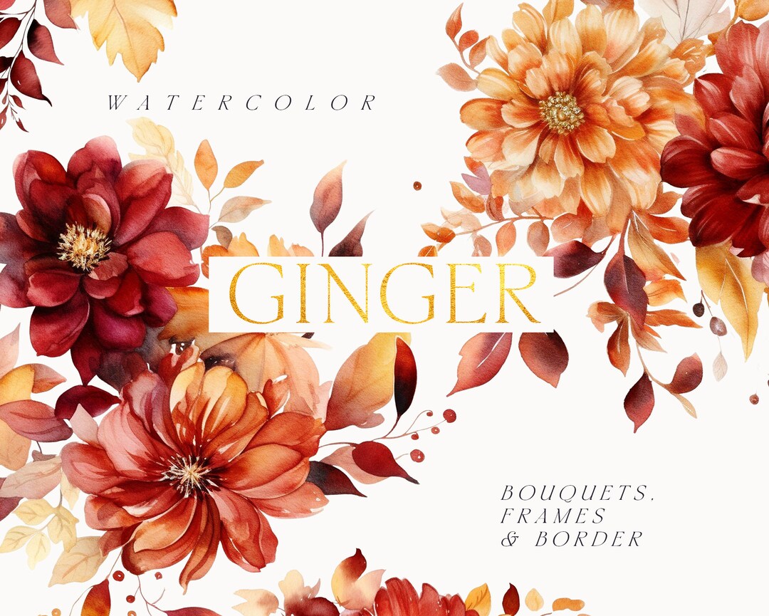 Watercolor Fall Flowers - Fall Clipart - Ginger Red Flowers Clipart Png ...