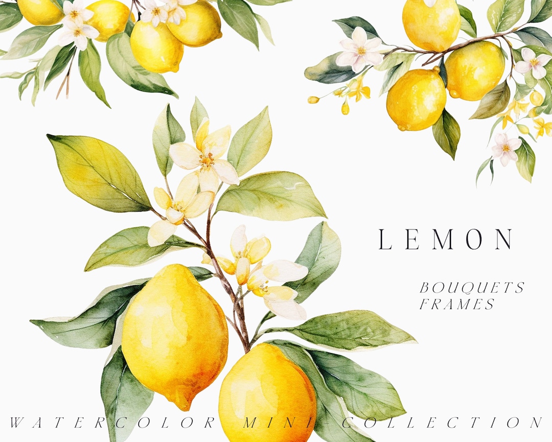 Watercolor Lemon Clipart - Watercolor Lemons Png - Lemon Twig Clipart ...