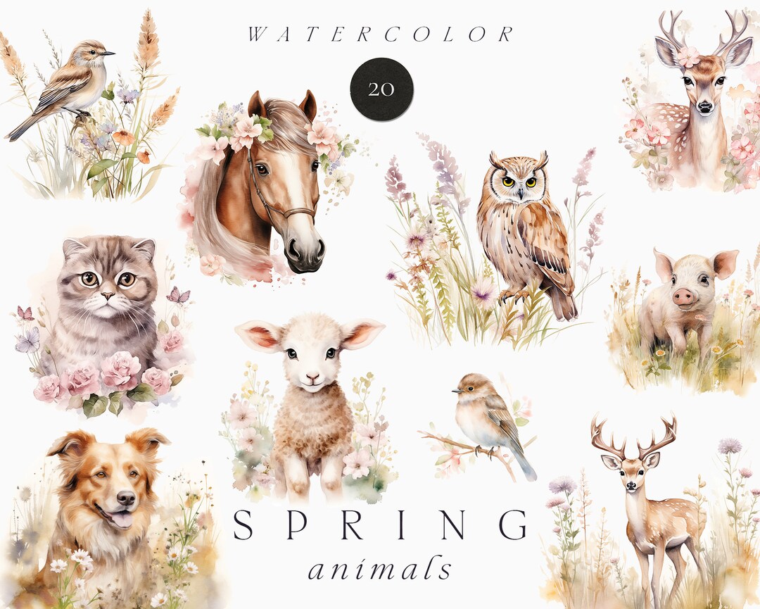 Watercolor Animals Clipart - Watercolor Spring Clipart Png - Cute Baby ...