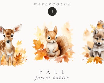 Watercolor Autumn Clipart Woodland Animals Fall Leaves - Etsy