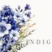Watercolor Floral Clipart - Watercolor Indigo Blue Floral Clipart Png ...