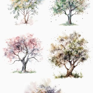 Watercolor Flowering Trees Clipart Png - Watercolor Summer Blossom Tree ...